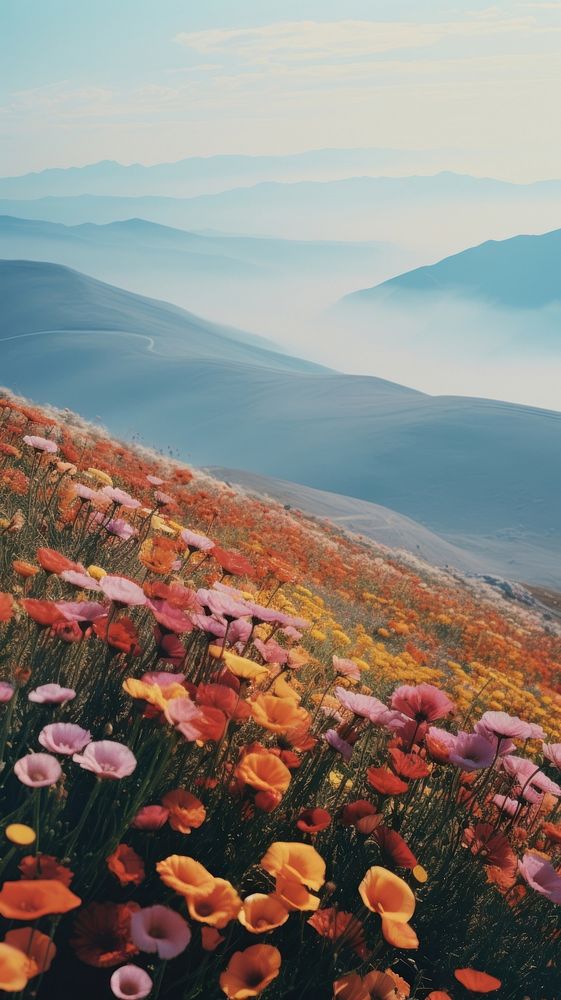 Minimal flower hill landscape outdoors | Premium Photo - rawpixel