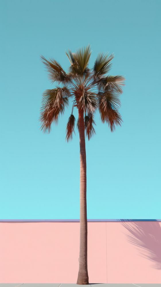 Coconut plam plant tree architecture. | Premium Photo - rawpixel