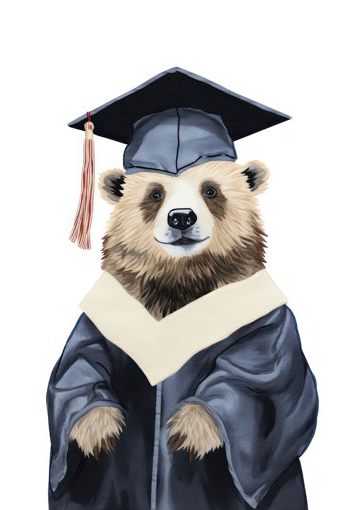 Little bear Graduation costume graduation | Free Photo Illustration ...