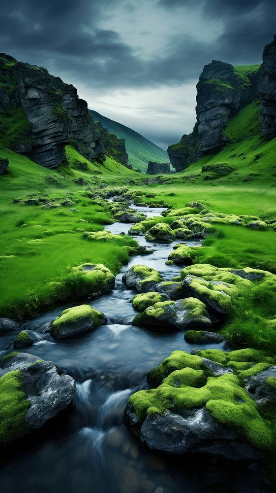 Clear lawn landscape nature wilderness. | Free Photo - rawpixel