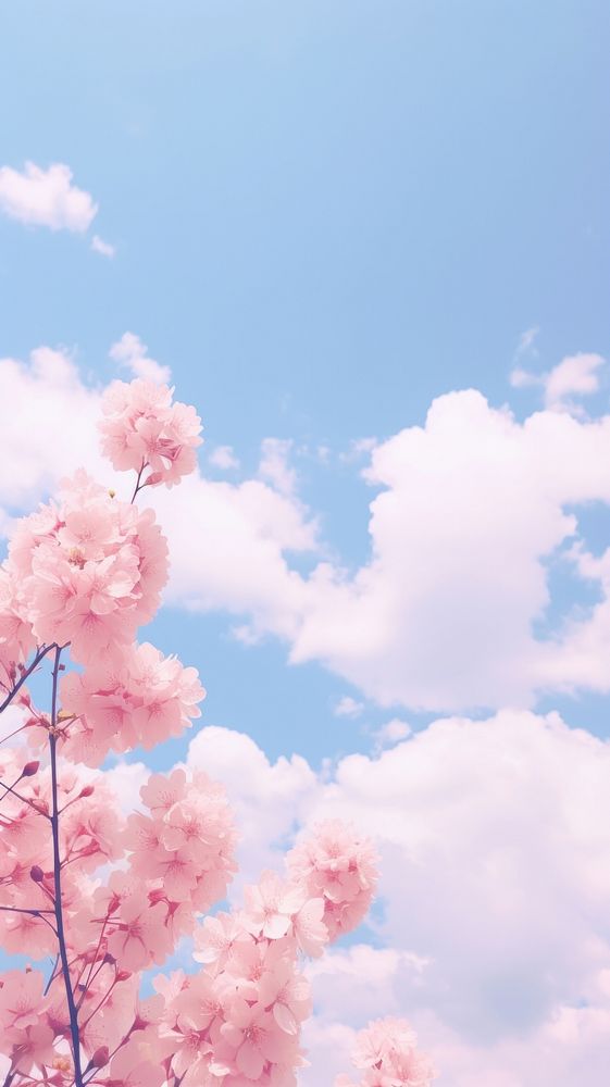 Spring aesthetic background vanila sky | Premium Photo - rawpixel