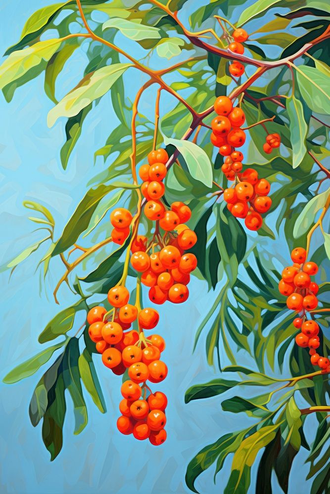 Mistletoe painting plant fruit. AI | Premium Photo Illustration - rawpixel