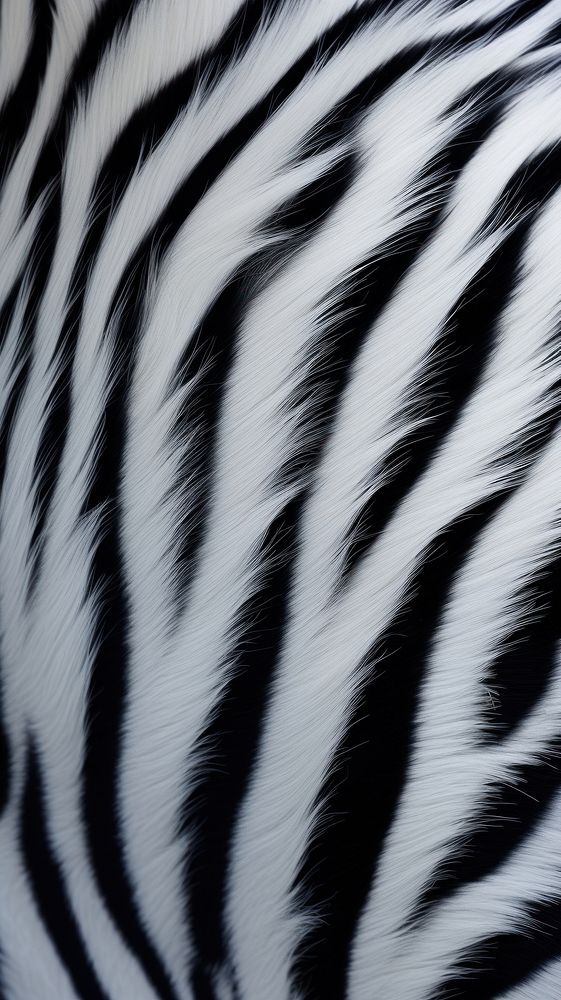 Zebra animal mammal fur. AI | Premium Photo - rawpixel
