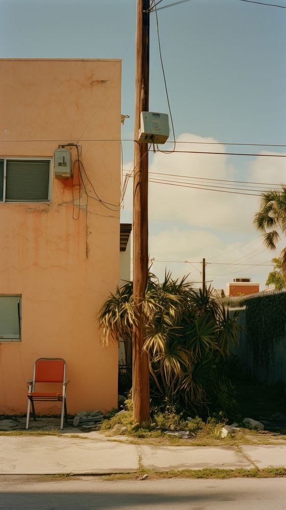 Miami vibe street plant city. | Free Photo - rawpixel