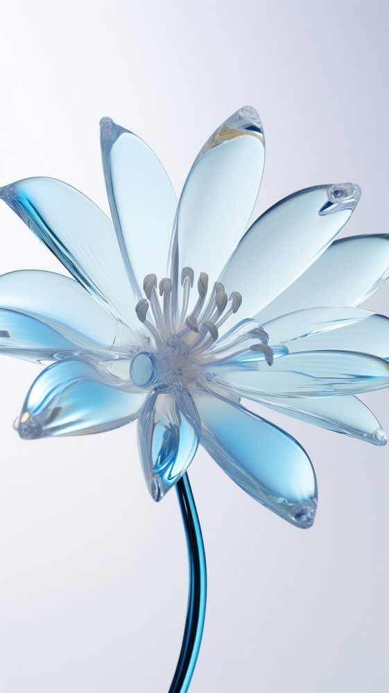 Flower made glass petal plant | Free Photo Illustration - rawpixel