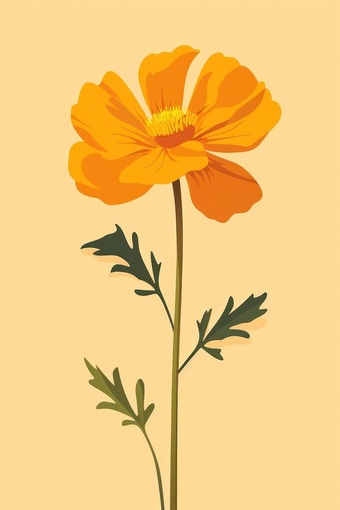 Fig marigold flower petal plant. | Free Photo Illustration - rawpixel