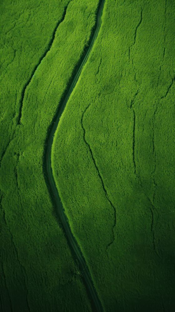 Greengrass field nature outdoors plant. | Premium Photo - rawpixel