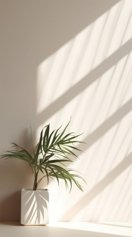 Tropical plant shadow window vase. | Free Photo - rawpixel