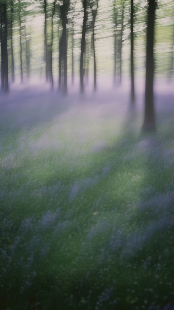 Violet forest wallpaper landscape outdoors | Premium Photo - rawpixel