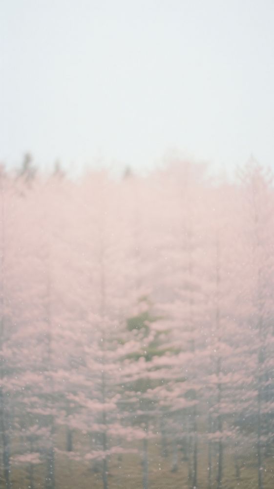 Pink forest wallpaper landscape outdoors | Premium Photo - rawpixel