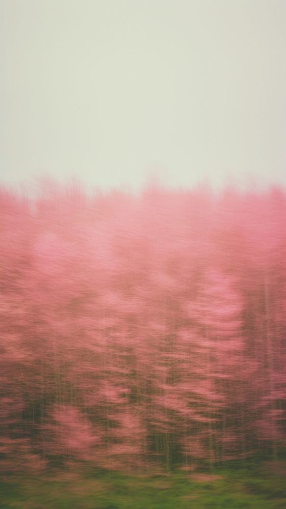 Pink forest wallpaper landscape outdoors | Premium Photo - rawpixel