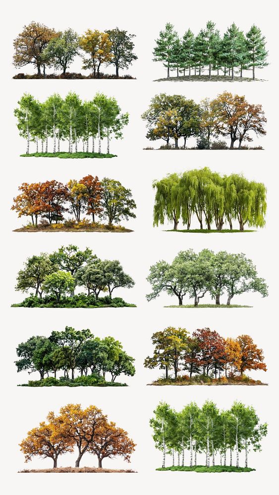 Group trees design element set | Free Photo - rawpixel