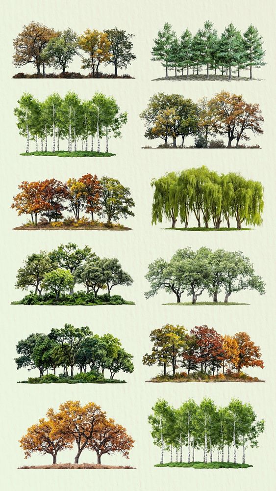 Group trees design element set | Free Photo - rawpixel