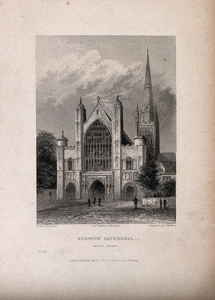 Norwich Cathedral, Norwich, Norfolk. Etching | Free Photo Illustration ...