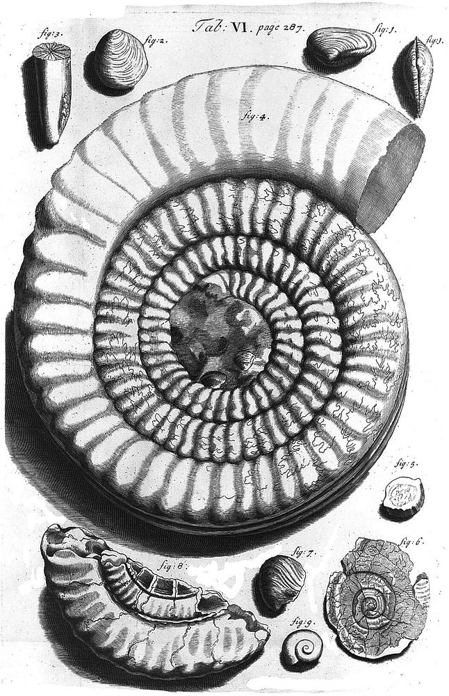 posthumous works Robert Hooke .. | Free Photo Illustration - rawpixel