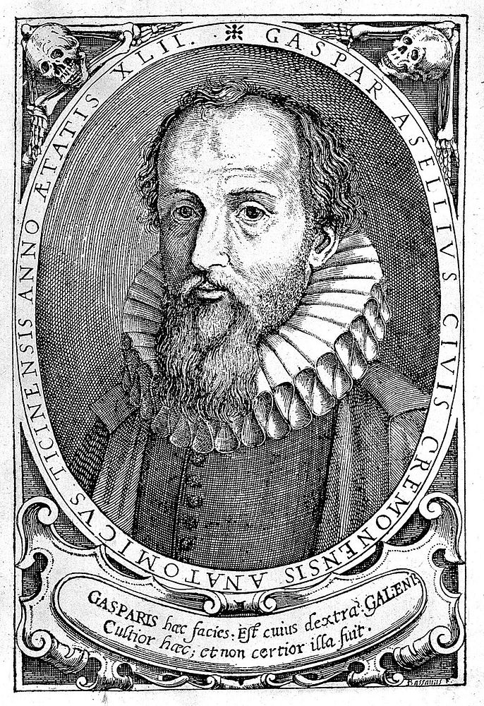 Chyle Images | Free Photos, PNG Stickers, Wallpapers & Backgrounds ...