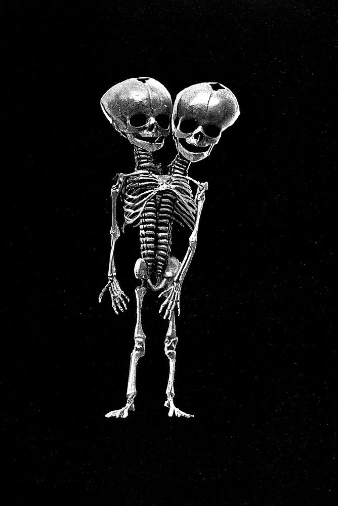 Human monstrosities / Barton Cooke | Free Photo Illustration - rawpixel