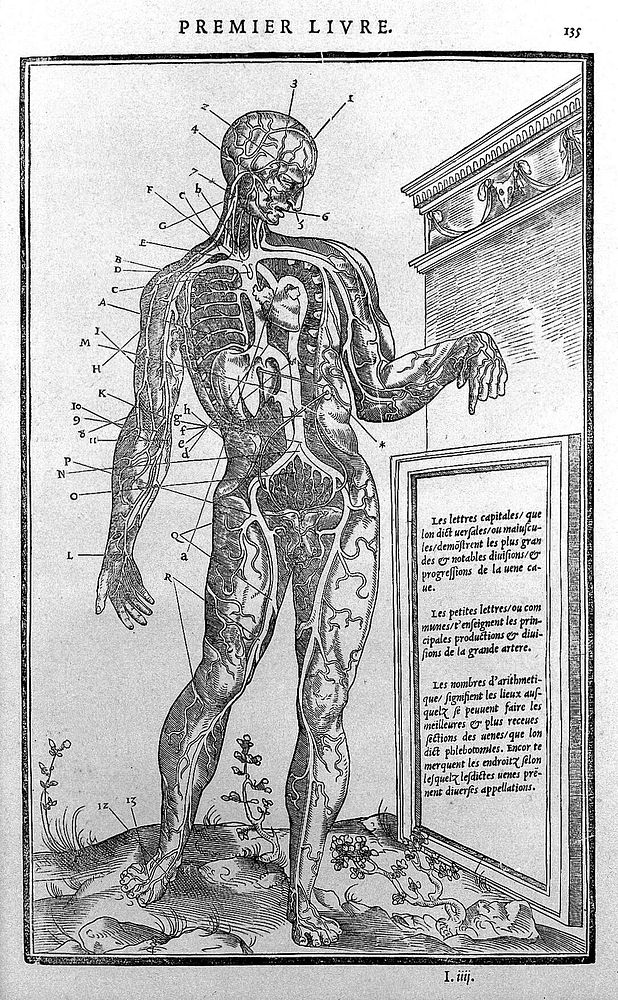 La dissection des parties du | Free Photo Illustration - rawpixel