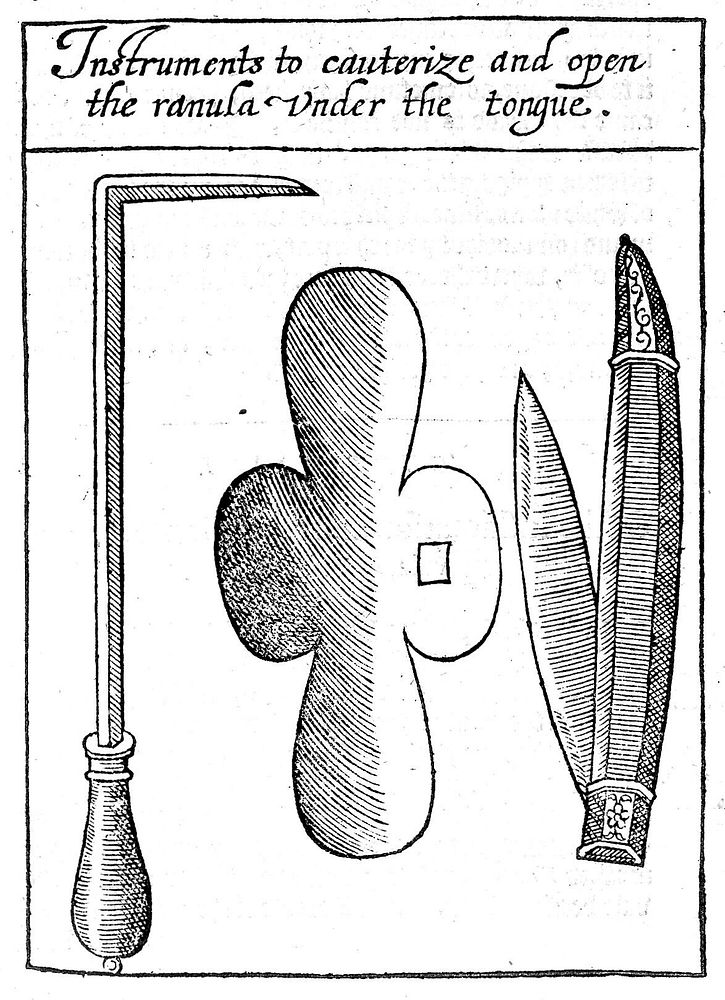 discourse whole art chyrurgerie. Wherein | Free Photo Illustration ...