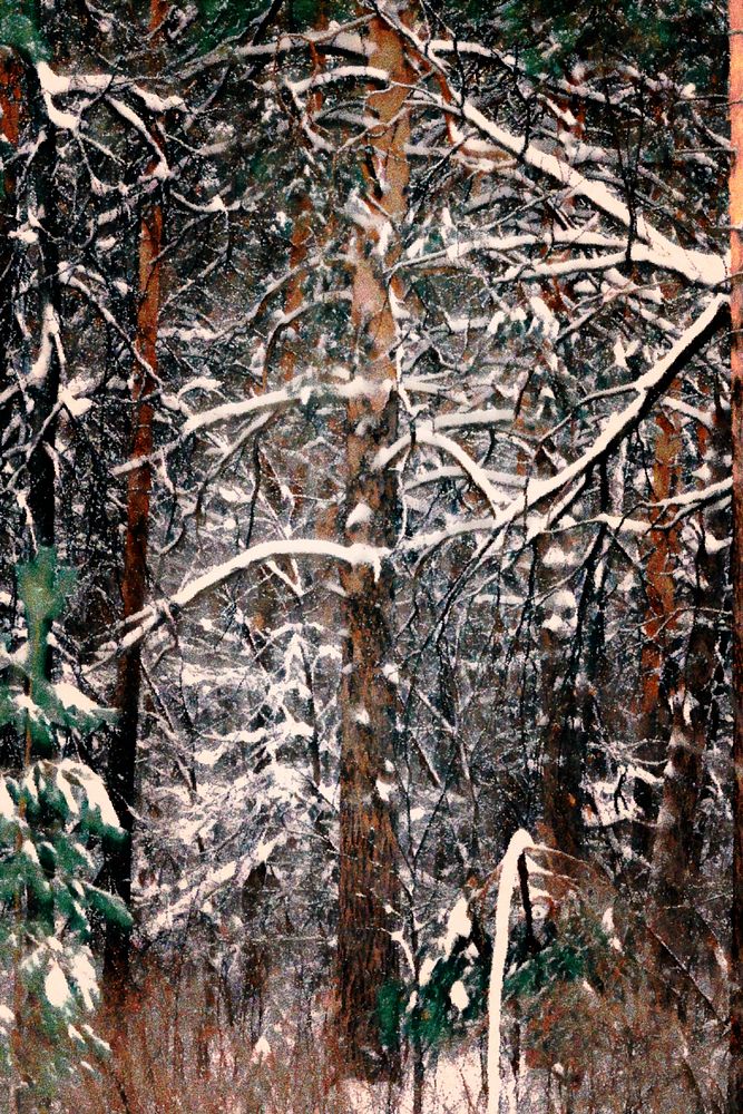 Free beautiful forest painting background, | Free Photo - rawpixel