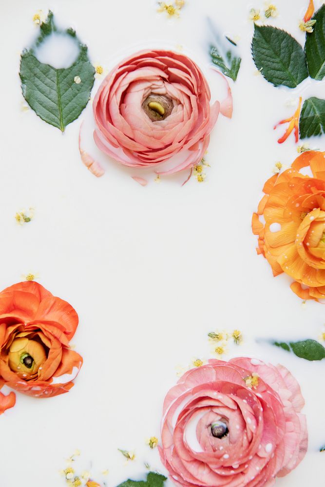 Top Border Frame Images | Free Photos, PNG Stickers, Wallpapers ...