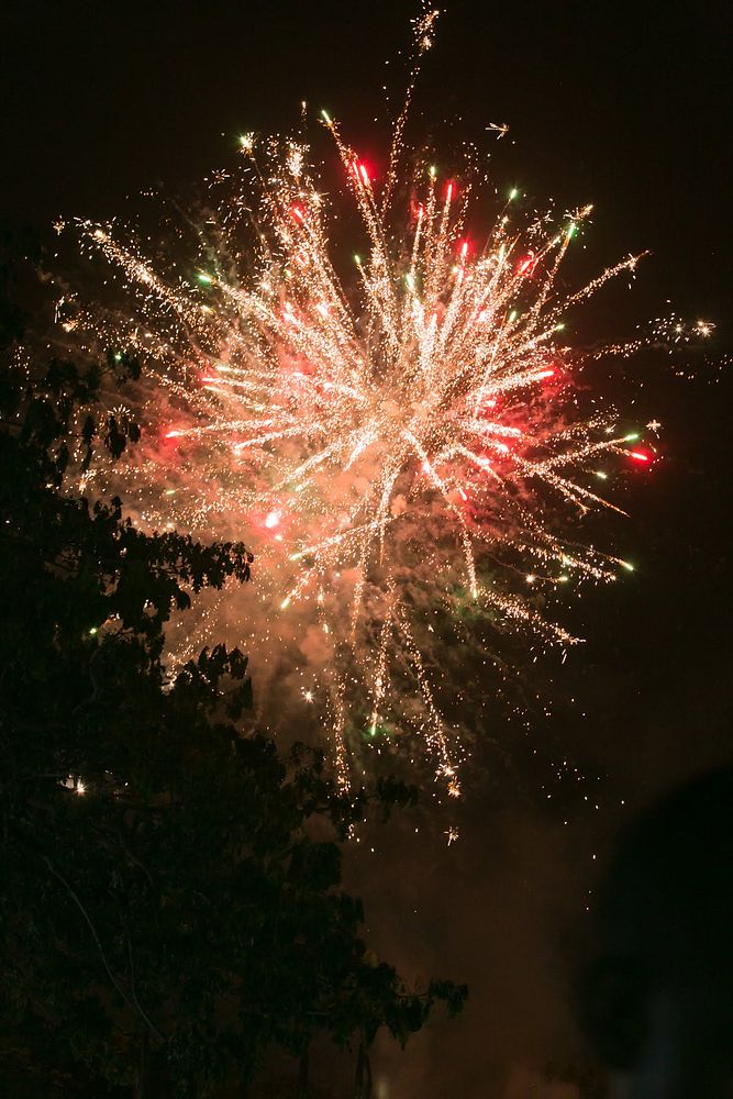 Fireworks. Original public domain image | Free Photo - rawpixel