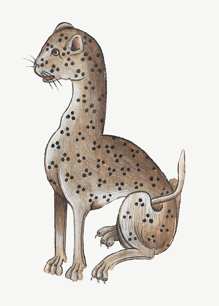 Vintage Weasel Images | Free Photos, PNG Stickers, Wallpapers ...