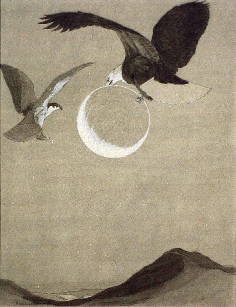 Hawk made a light by striking | Free Photo Illustration - rawpixel