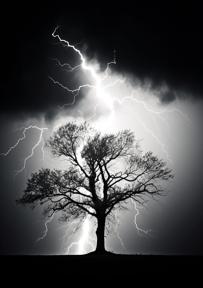 Lightning tree thunderstorm outdoors nature. | Free Photo - rawpixel