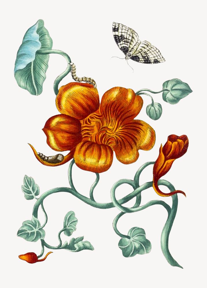 Caterpillars, butterflies and flowers illustration | Free PSD - rawpixel