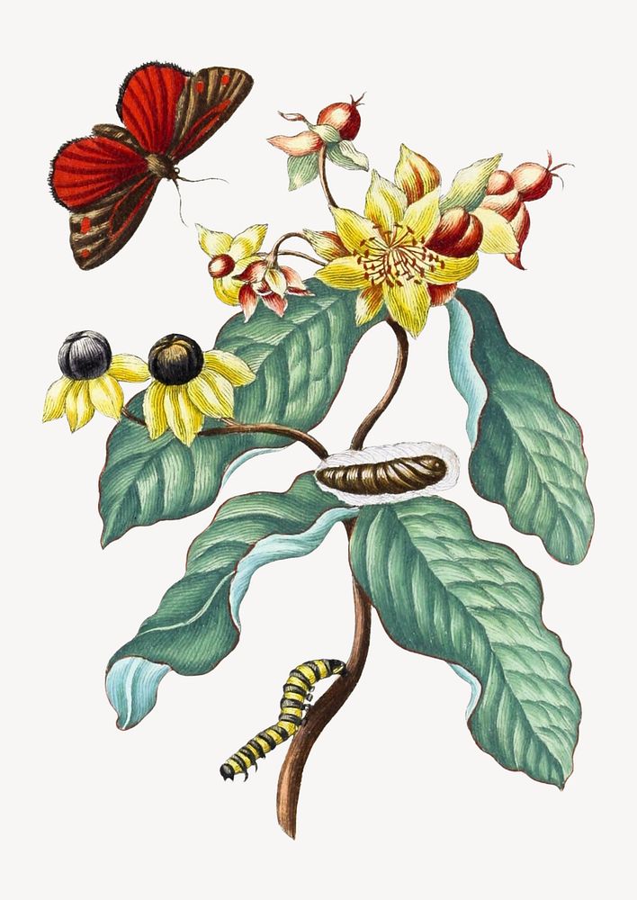 Caterpillars, butterflies and flowers illustration | Free PSD - rawpixel