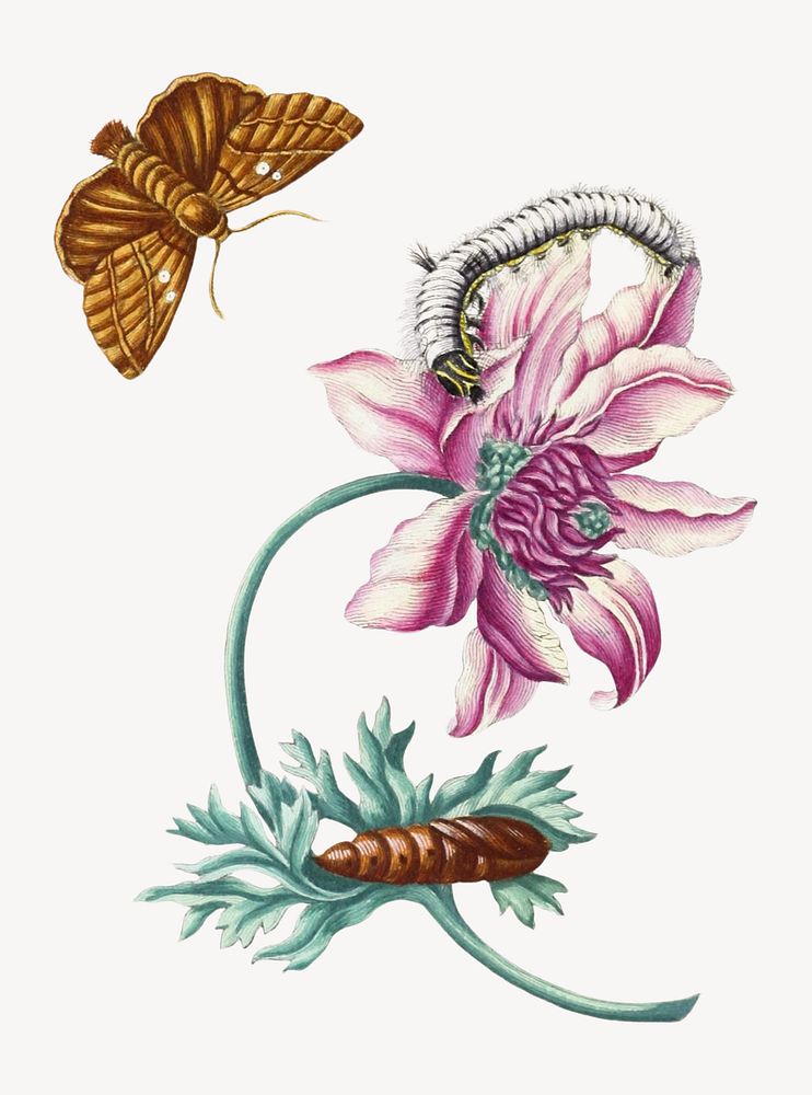 Caterpillars, butterflies and flowers illustration | Free PSD - rawpixel