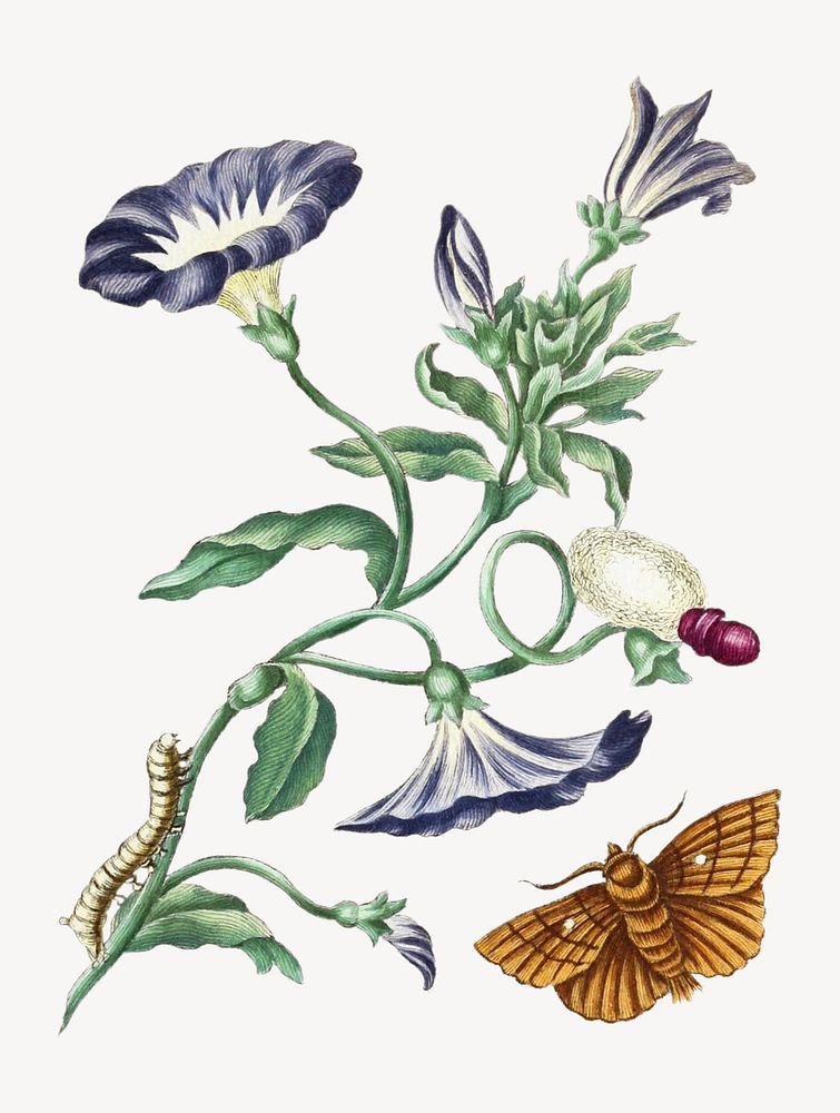 Caterpillars, butterflies and flowers illustration | Free PSD - rawpixel