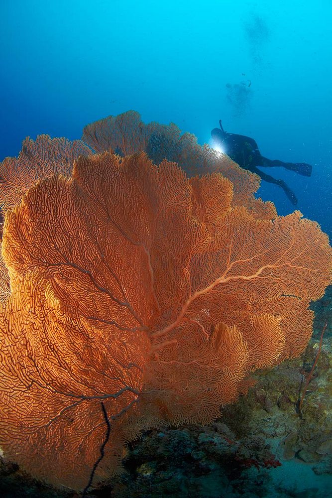 Laut Images | Free Photos, PNG Stickers, Wallpapers & Backgrounds ...