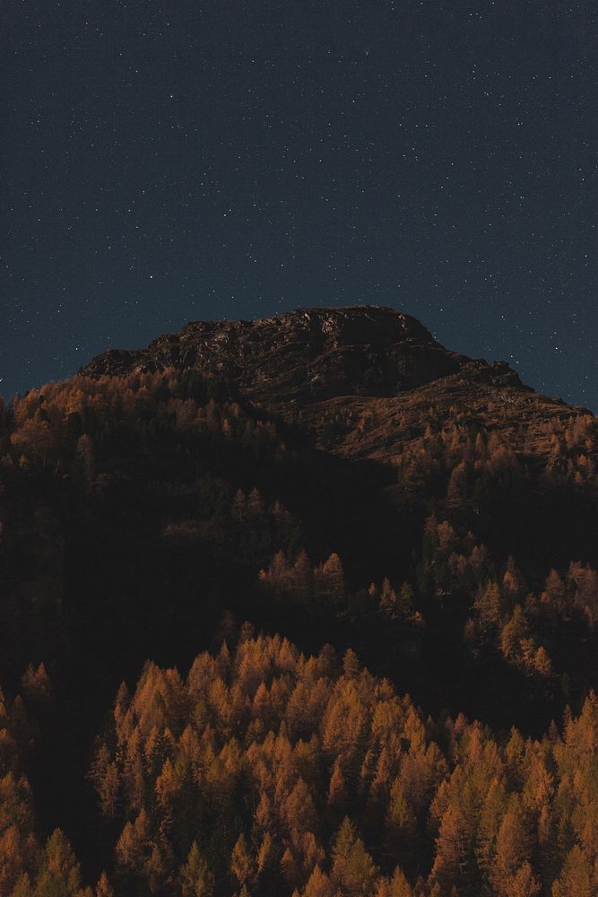 Autumn forest starry sky | Free Photo - rawpixel