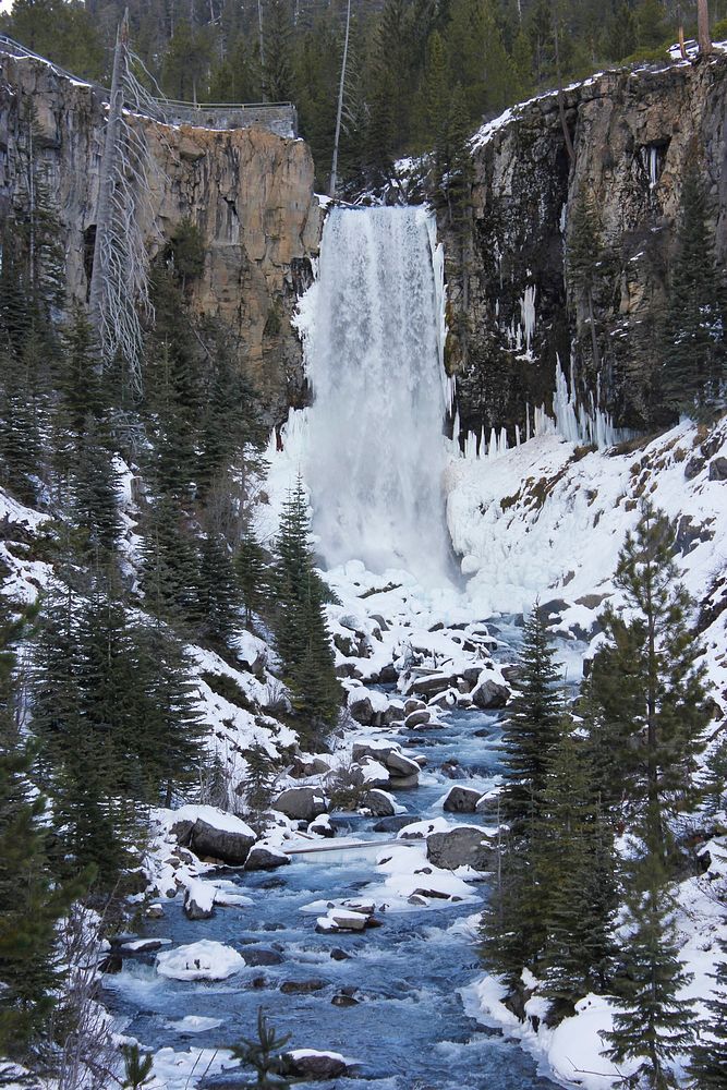 Original public domain image Flickr | Free Photo - rawpixel