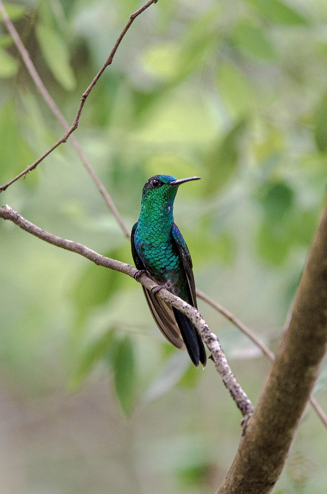 Original public domain image Flickr | Free Photo - rawpixel