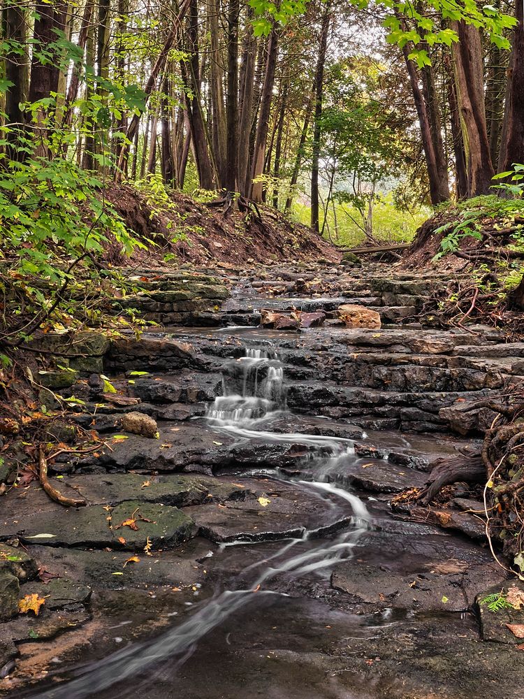 Cascade, Confederation Park | Free Photo - rawpixel