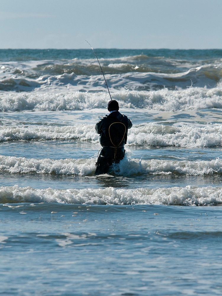Surf Perch Fishing Kalaloch Beach | Free Photo - rawpixel