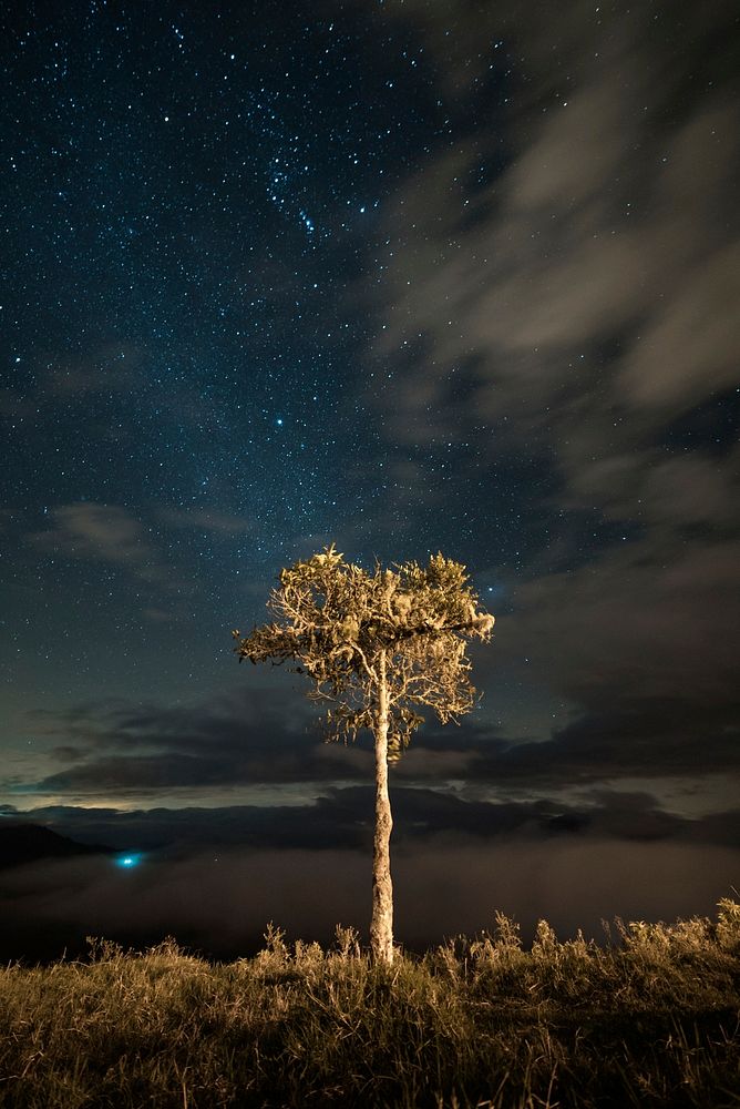 Original public domain image Flickr | Free Photo - rawpixel