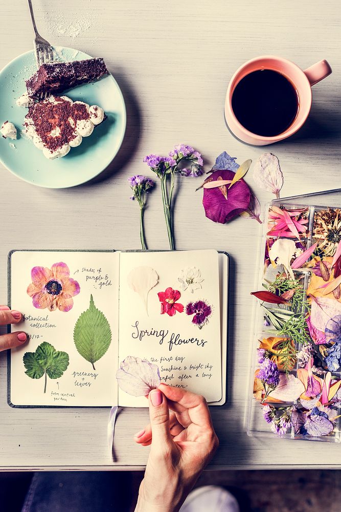 Book with dry flower collection | Premium Photo - rawpixel
