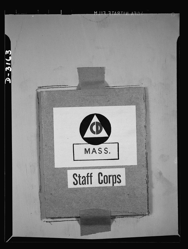 Insignia Air Raid Protective Services. | Free Photo - rawpixel