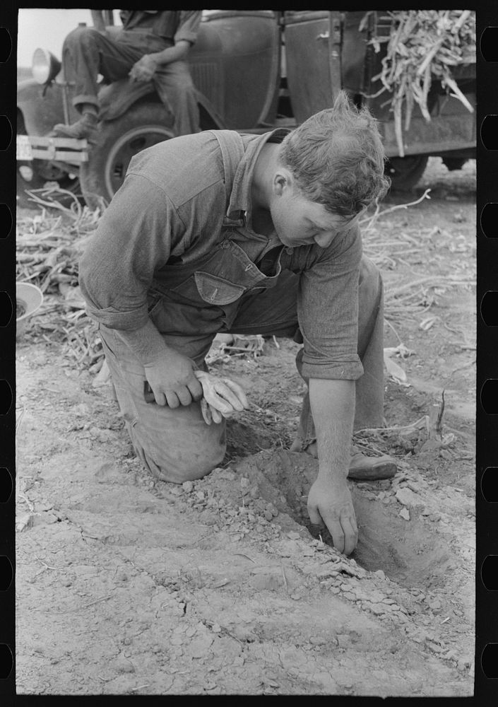 Sheridan County, Kansas, farmer digging | Free Photo - rawpixel
