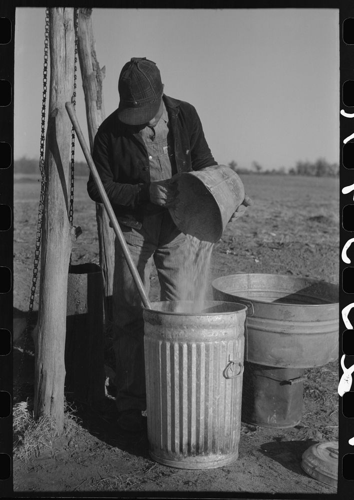 Pouring bran can mixing mash | Free Photo - rawpixel