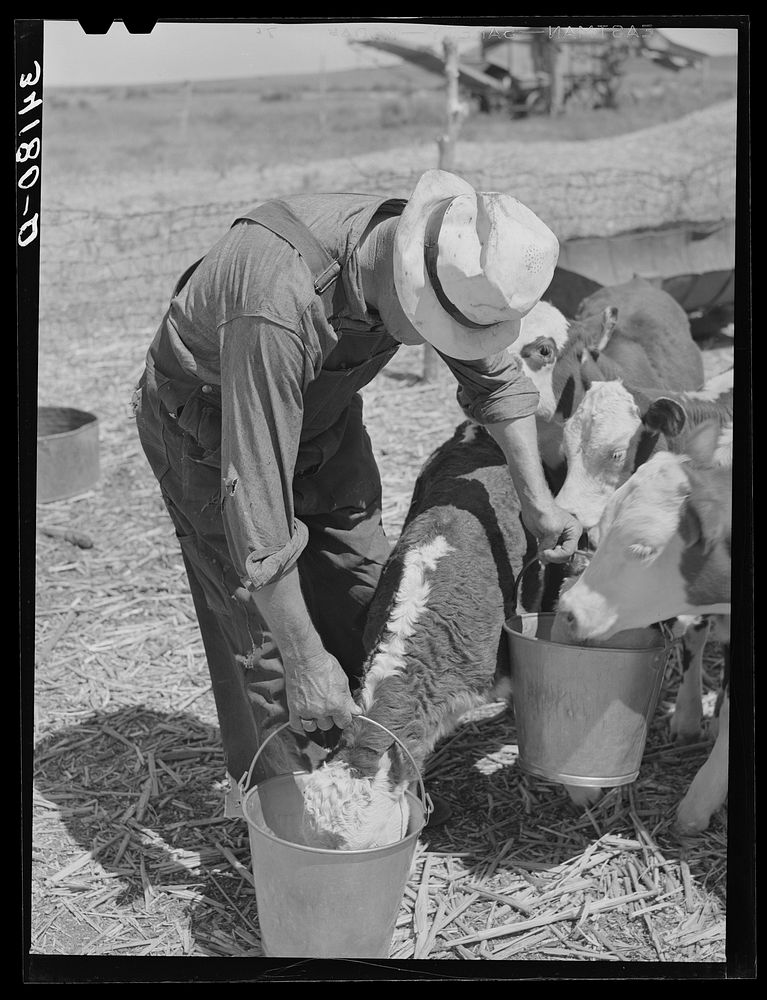 Mr. Bosley reorganization unit, Baca | Free Photo - rawpixel