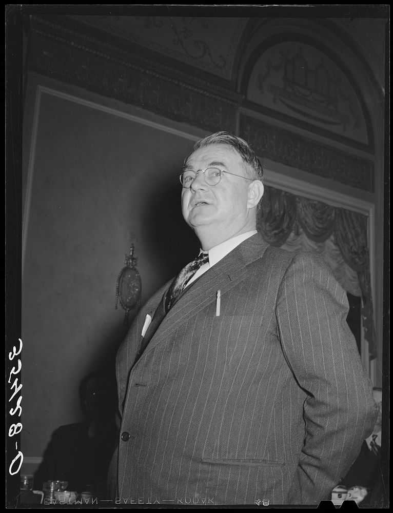 FSA (Farm Security Administration) regional | Free Photo - rawpixel