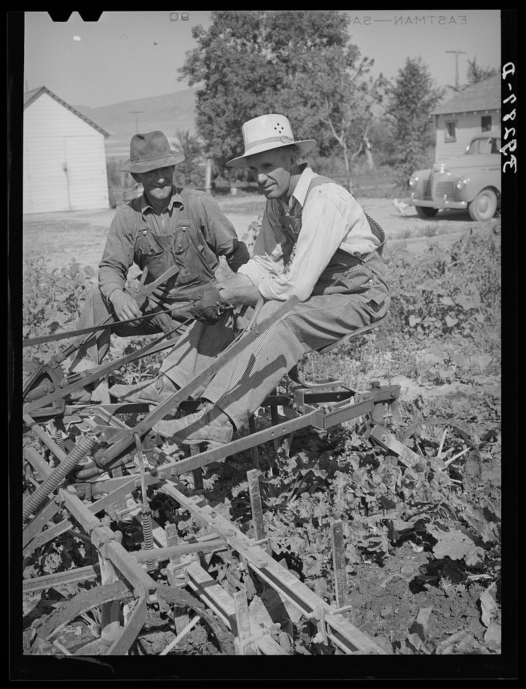 Members FSA (Farm Security Administration) | Free Photo - rawpixel