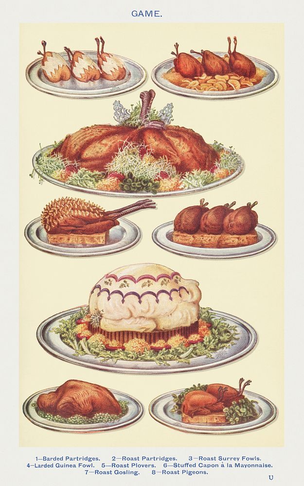 Game: Barded Partridges, Roast Partridges | Free Photo Illustration ...