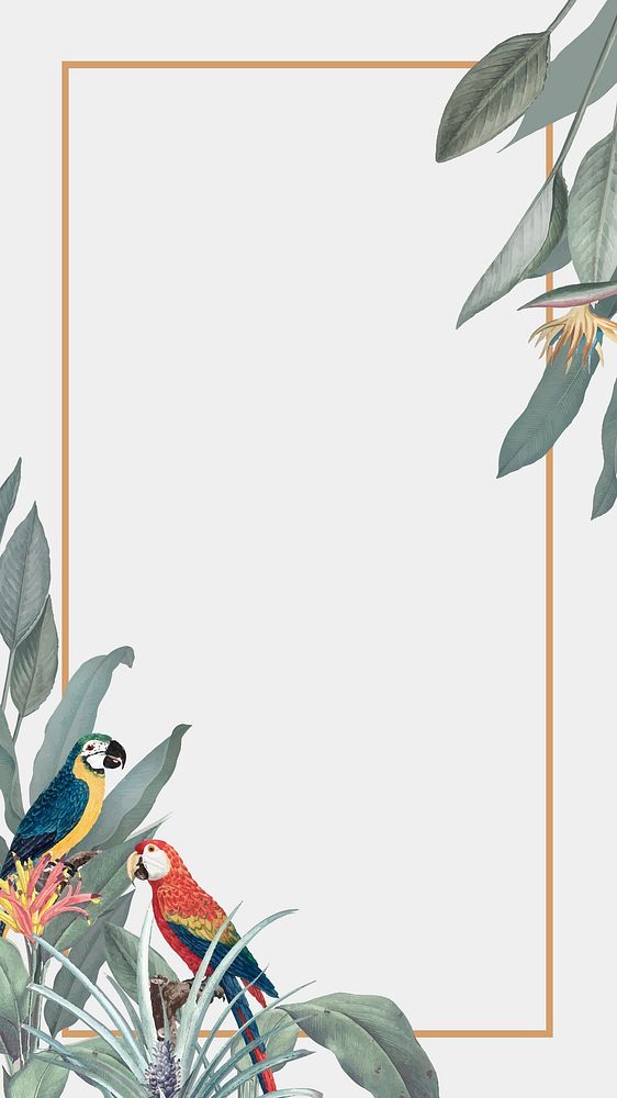 Tropical paradise banner template vector | Premium Vector - rawpixel