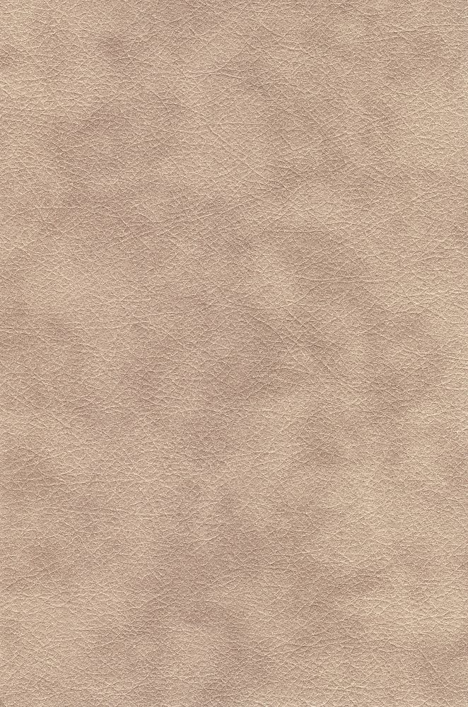 Free public domain CC0 photo. | Free Photo - rawpixel